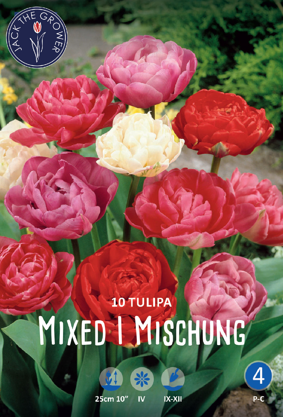 All spring flowering bulbs – Page 8 – Jack the Grower